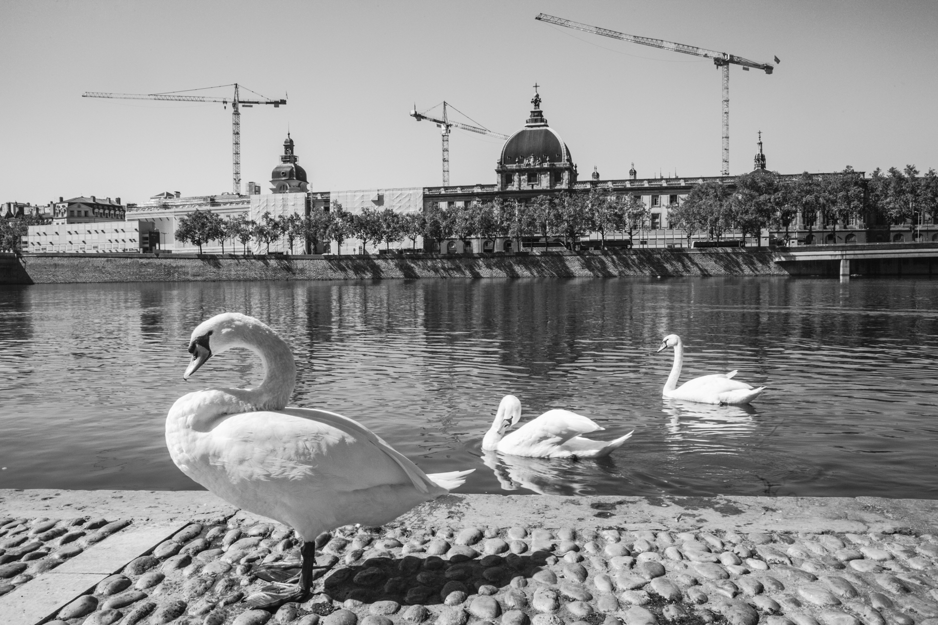 SHOP | Venkat Damara